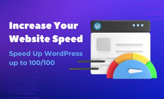 WordPress | ReactJS | NextJS | Web Development Agency